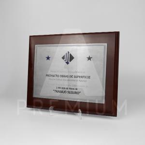 Conoce nuestro tipos de placas hechas para todo momento